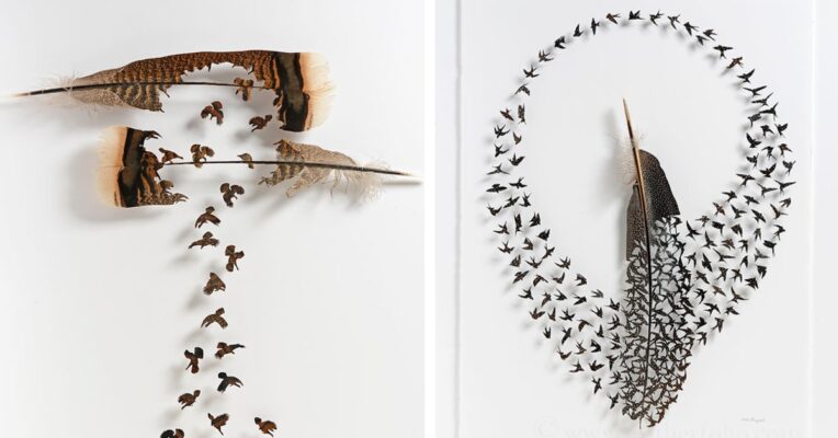 25 ý tưởng để chụp ảnh Still Life - Nai Concept